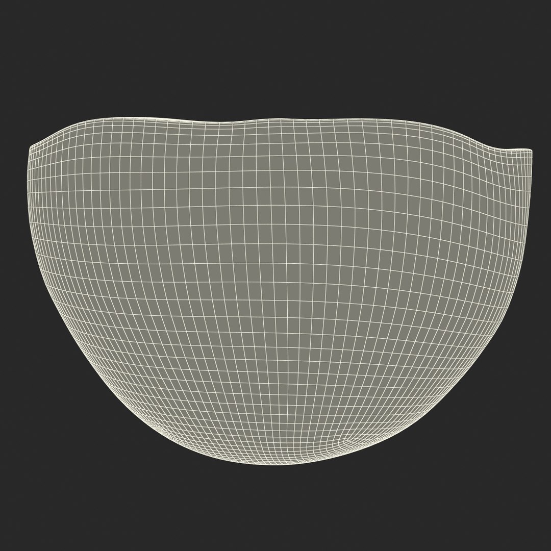 3d Red Grape Cross Section Model