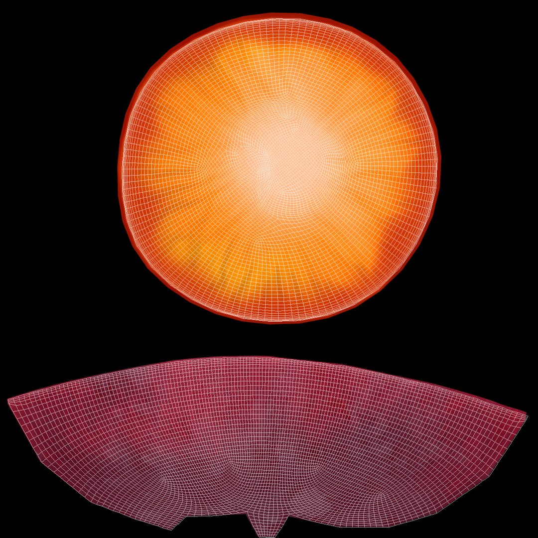 3d Red Grape Cross Section Model