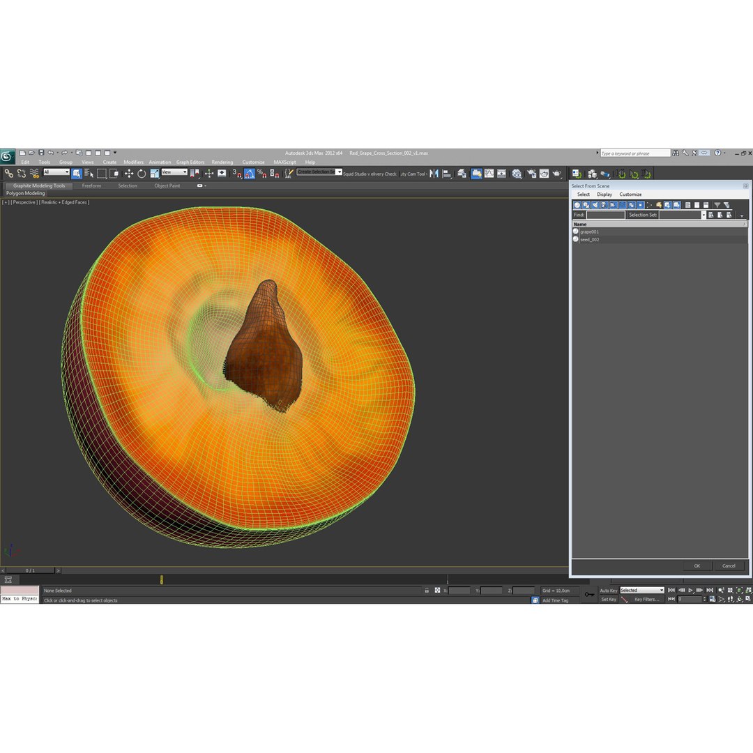 3d Red Grape Cross Section Model