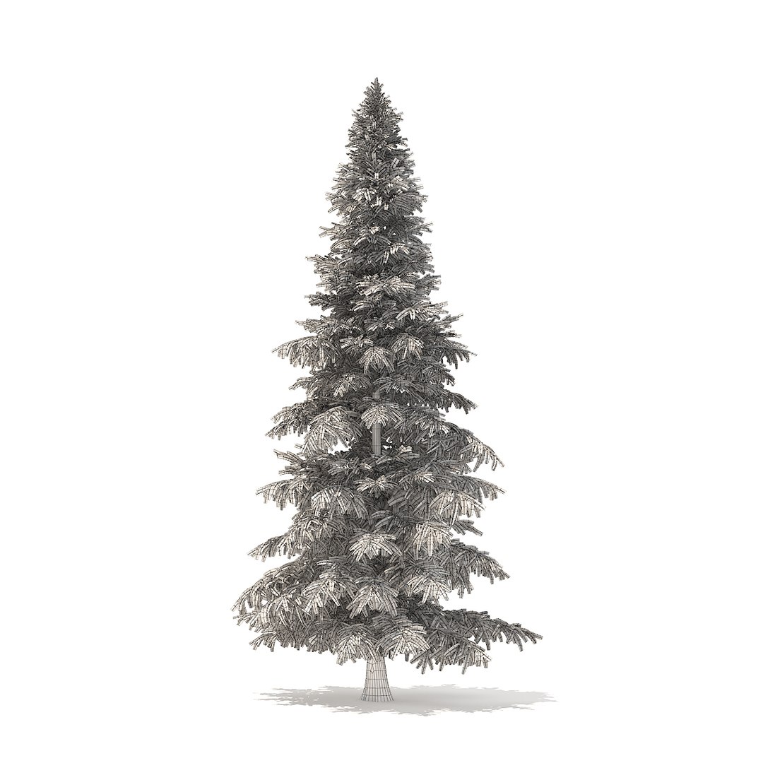 3D Spruce Tree 8m - TurboSquid 1273661
