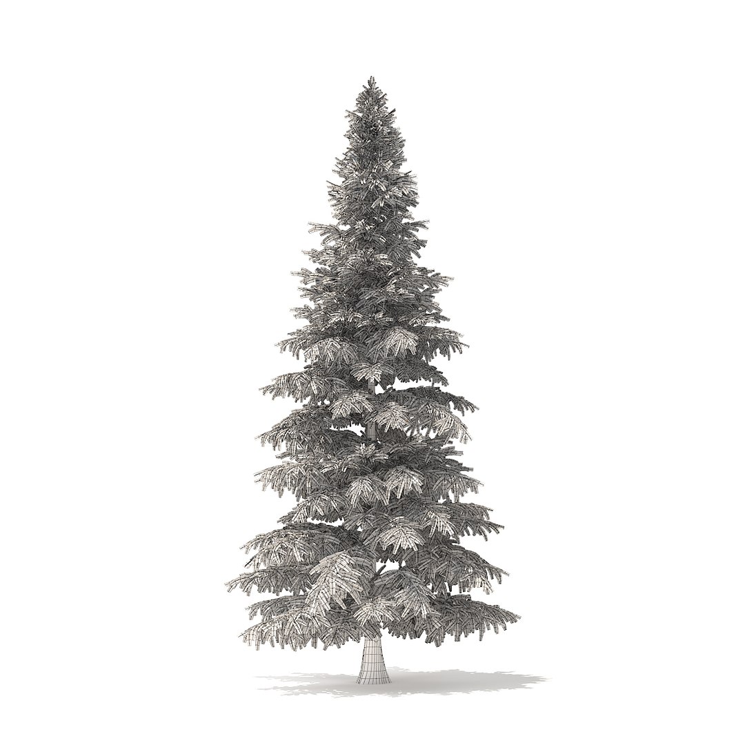 3D Spruce Tree 8m - TurboSquid 1273661
