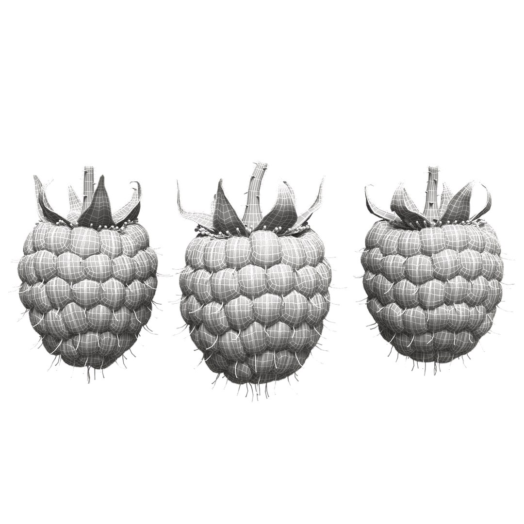 3d raspberries fruit