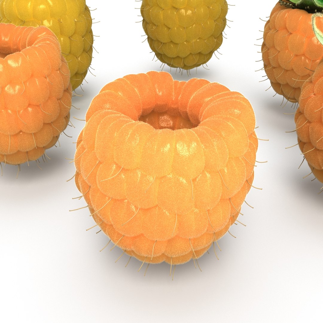 3d raspberries fruit