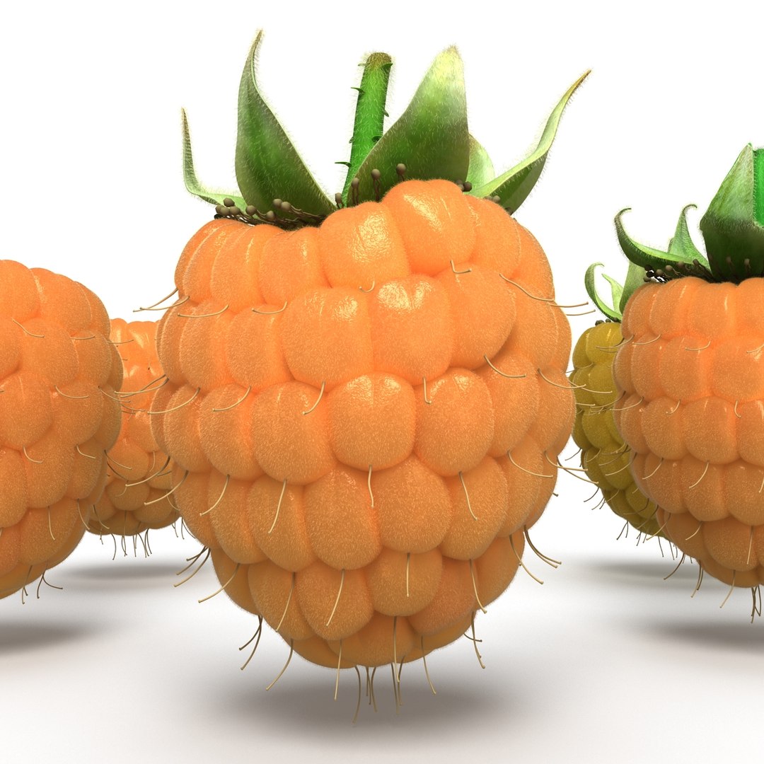 3d raspberries fruit
