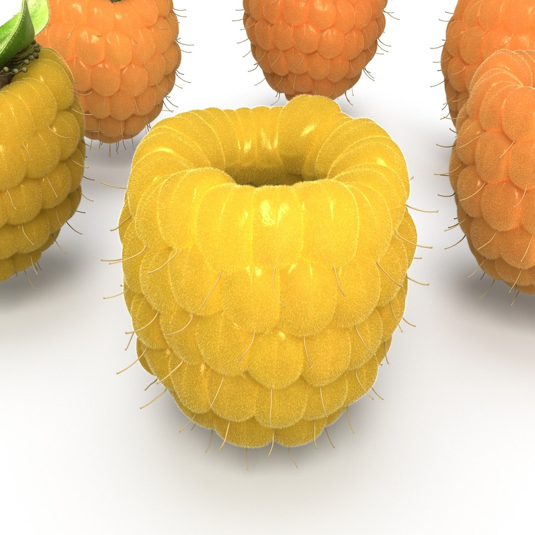 3d raspberries fruit