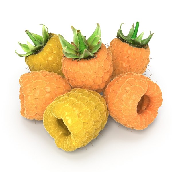 3d raspberries fruit
