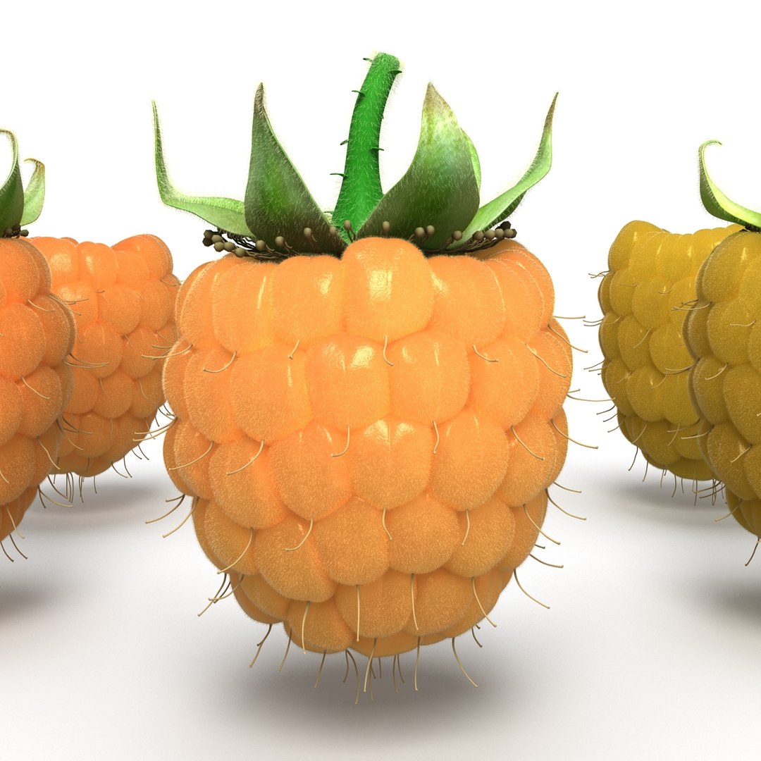 3d raspberries fruit