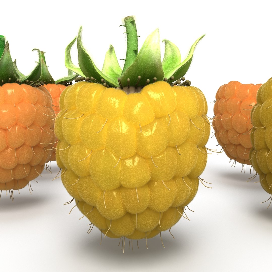 3d raspberries fruit