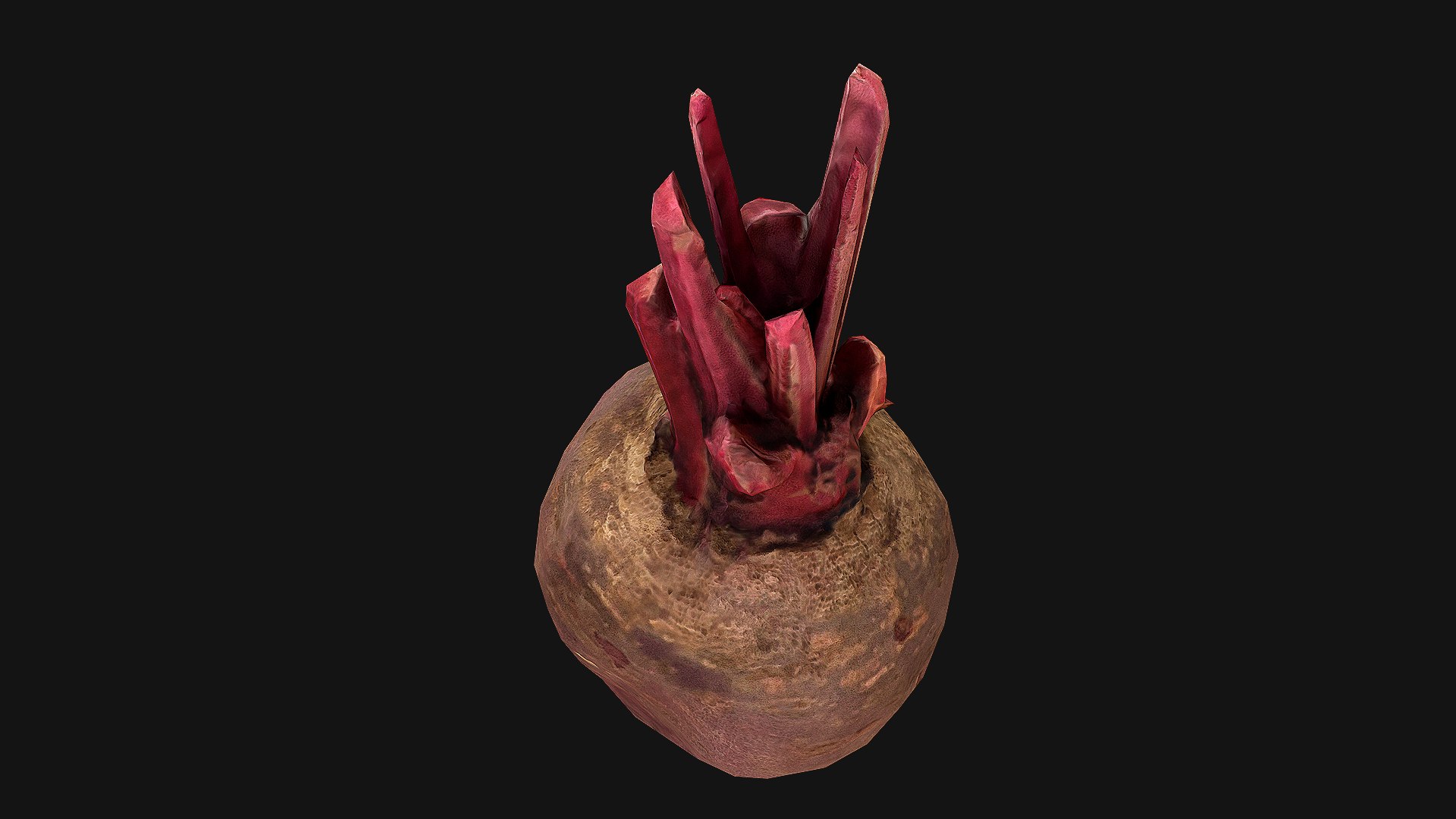 BeetRoot 3D - TurboSquid 1920814
