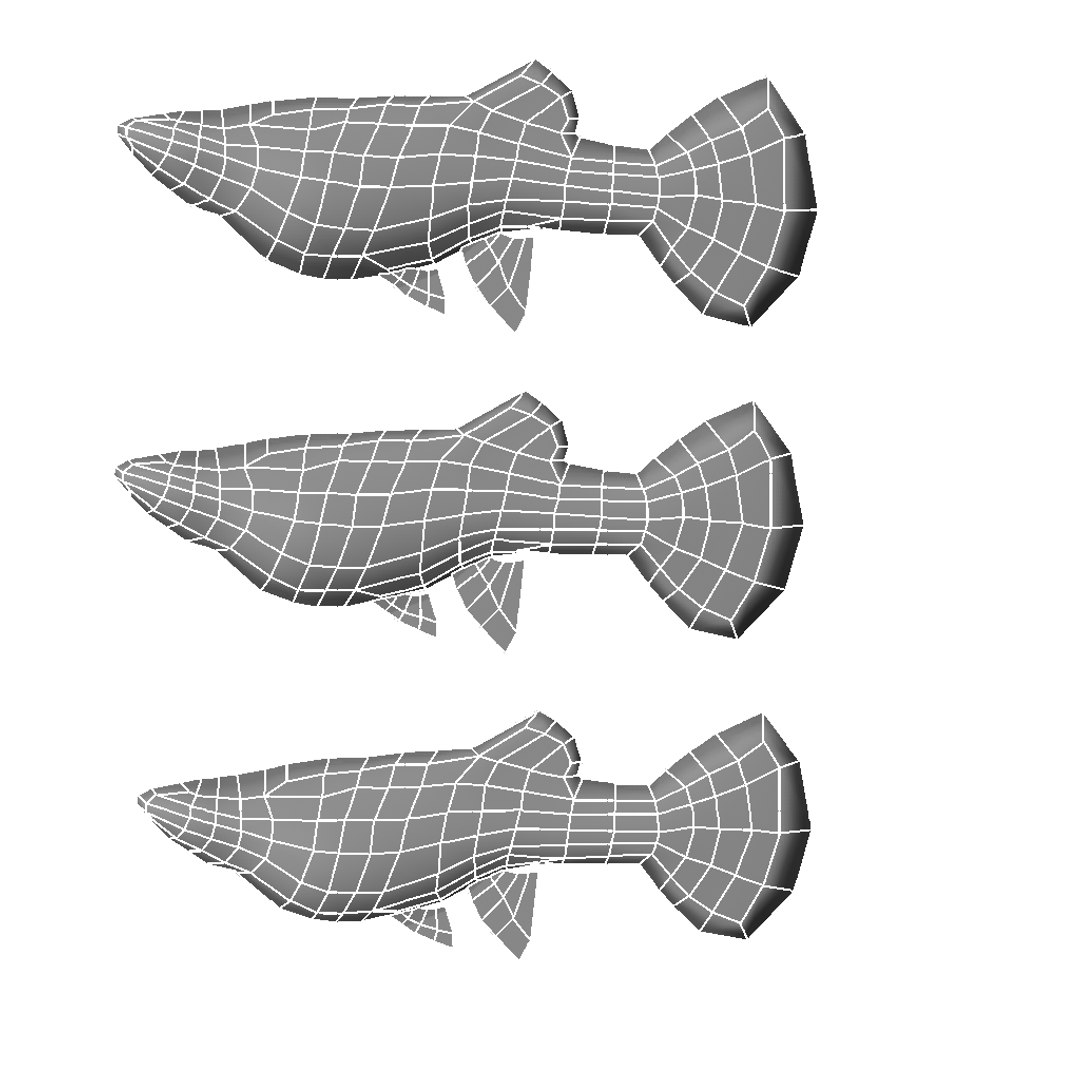 Guppy Fish 3D Model - TurboSquid 1258708