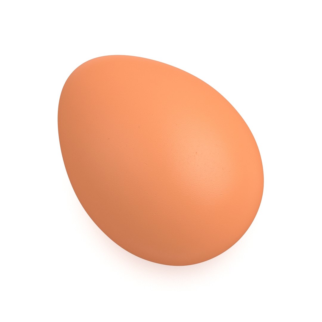 3D Chicken Egg Model - TurboSquid 1355557