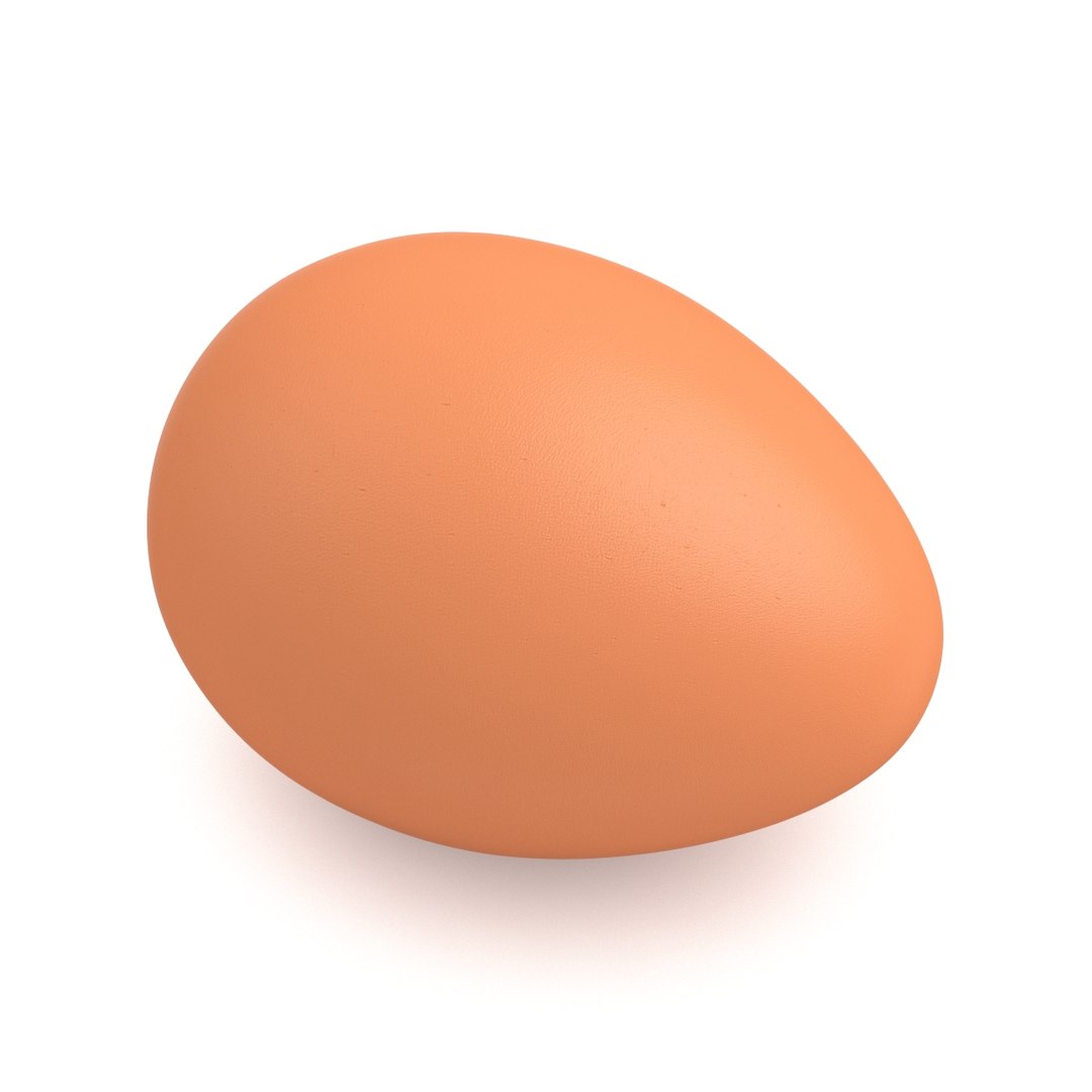 3D Chicken Egg Model - TurboSquid 1355557