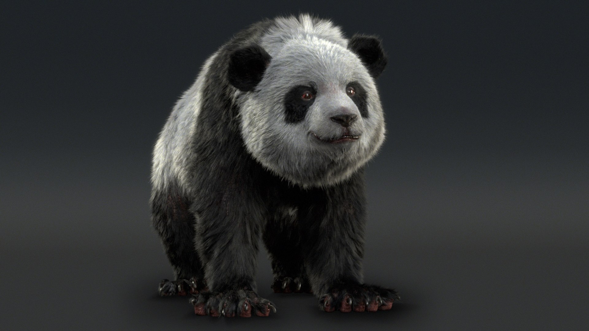 3D Giant Panda RIGGED Model - TurboSquid 1750418