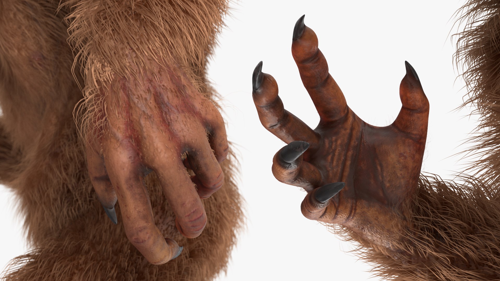 Aggressive Sasquatch Fur 3D model - TurboSquid 2006162