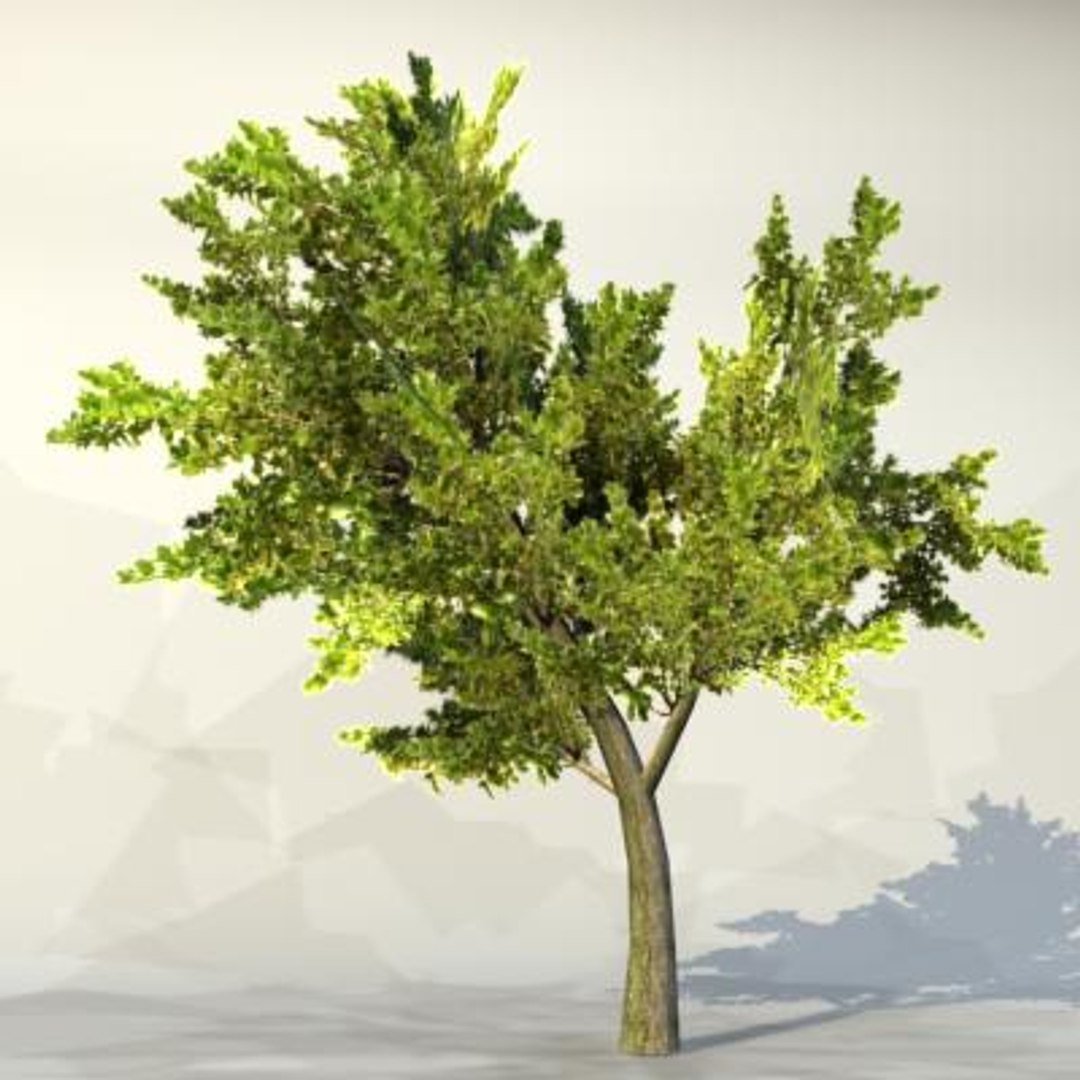 3d Pc Tree Model