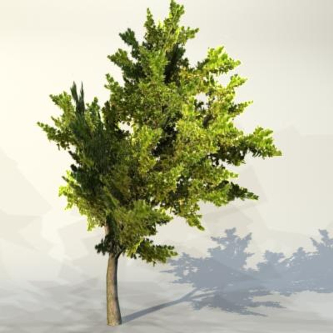 3d Pc Tree Model