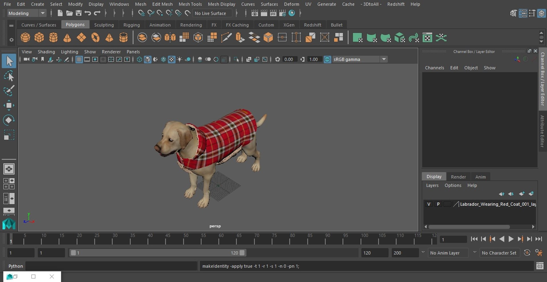 Labrador Wearing Red Coat 3D model - TurboSquid 2037627