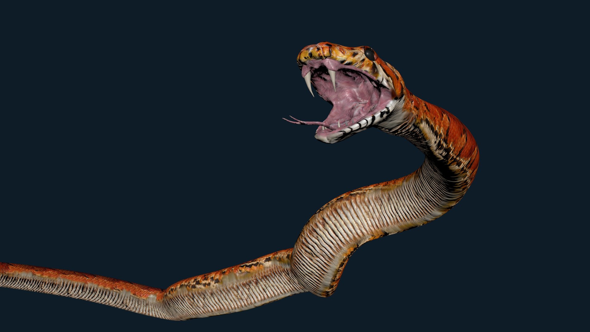 Snake 3D Model - TurboSquid 2144811