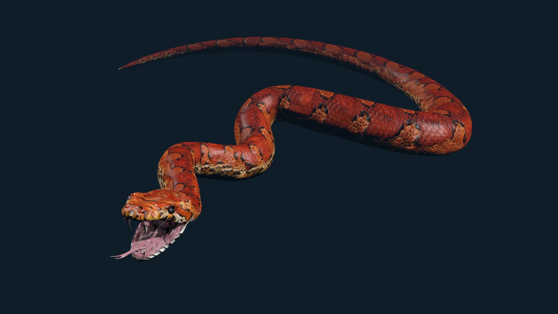 Snake 3D Model - TurboSquid 2144811