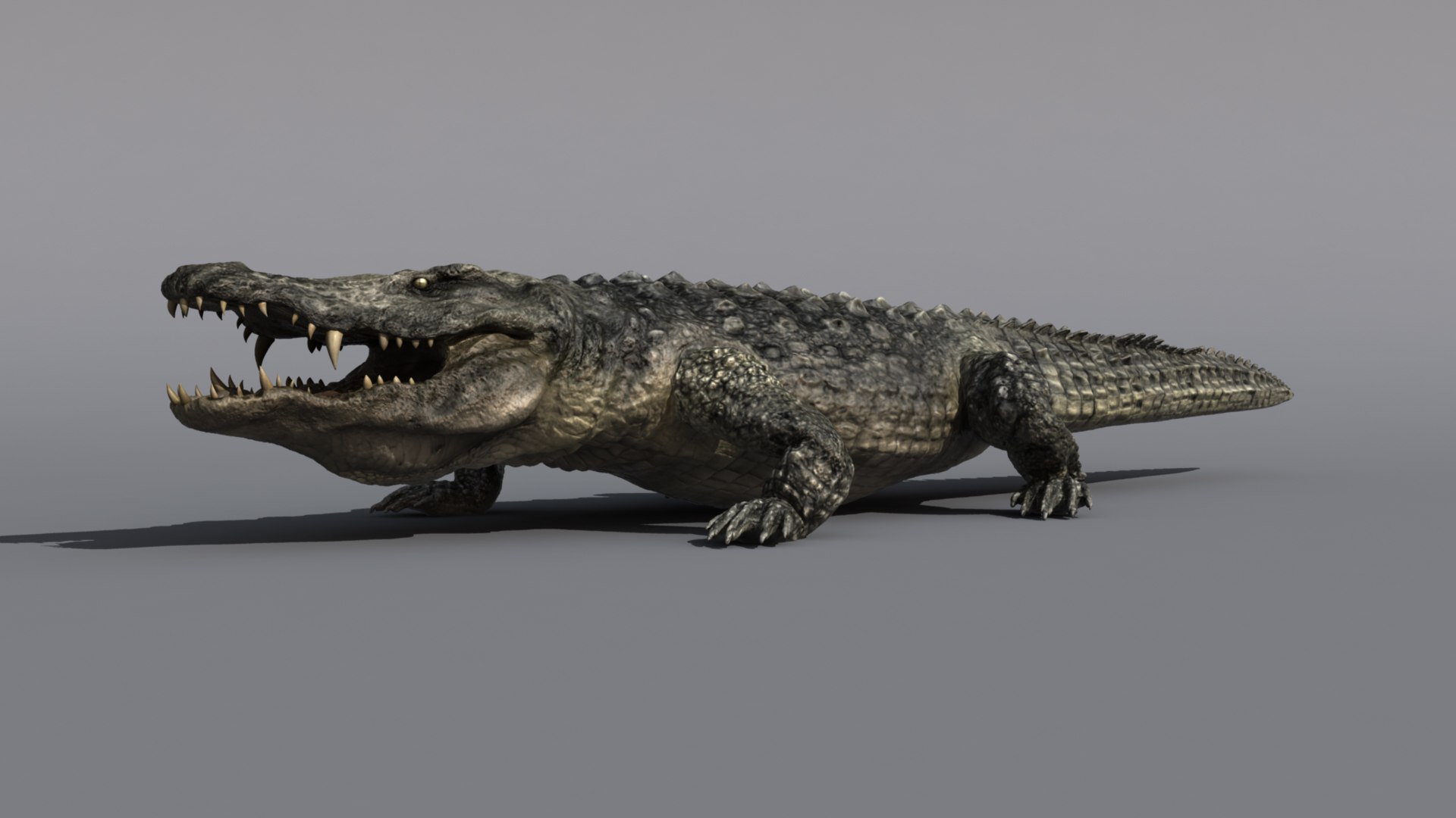 3d Realistic Crocodile Model