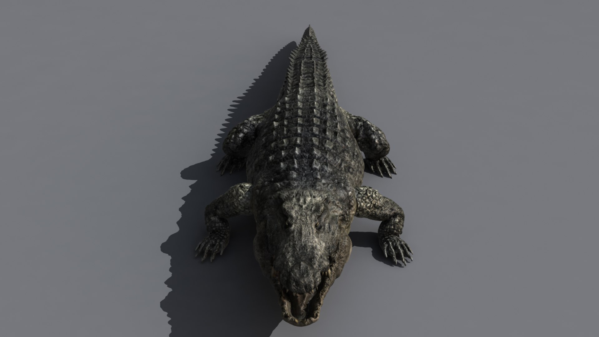 3d Realistic Crocodile Model