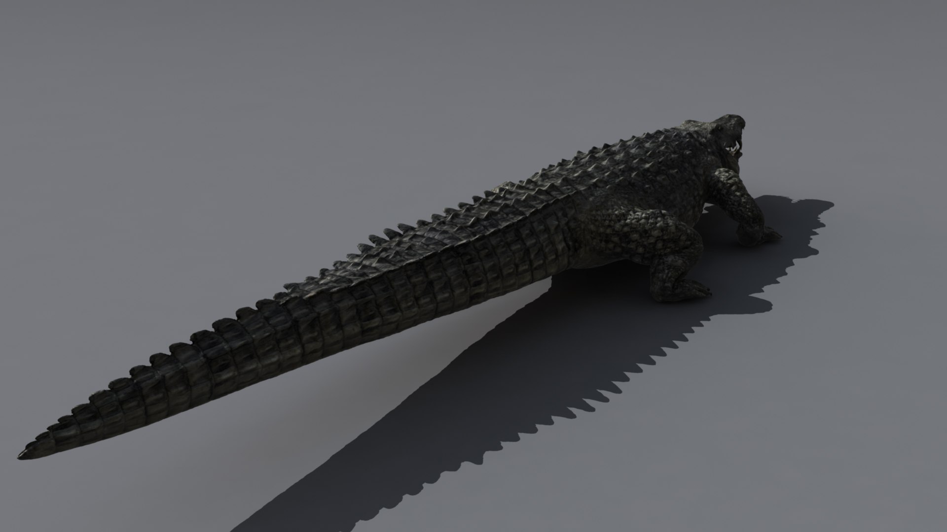 3d Realistic Crocodile Model