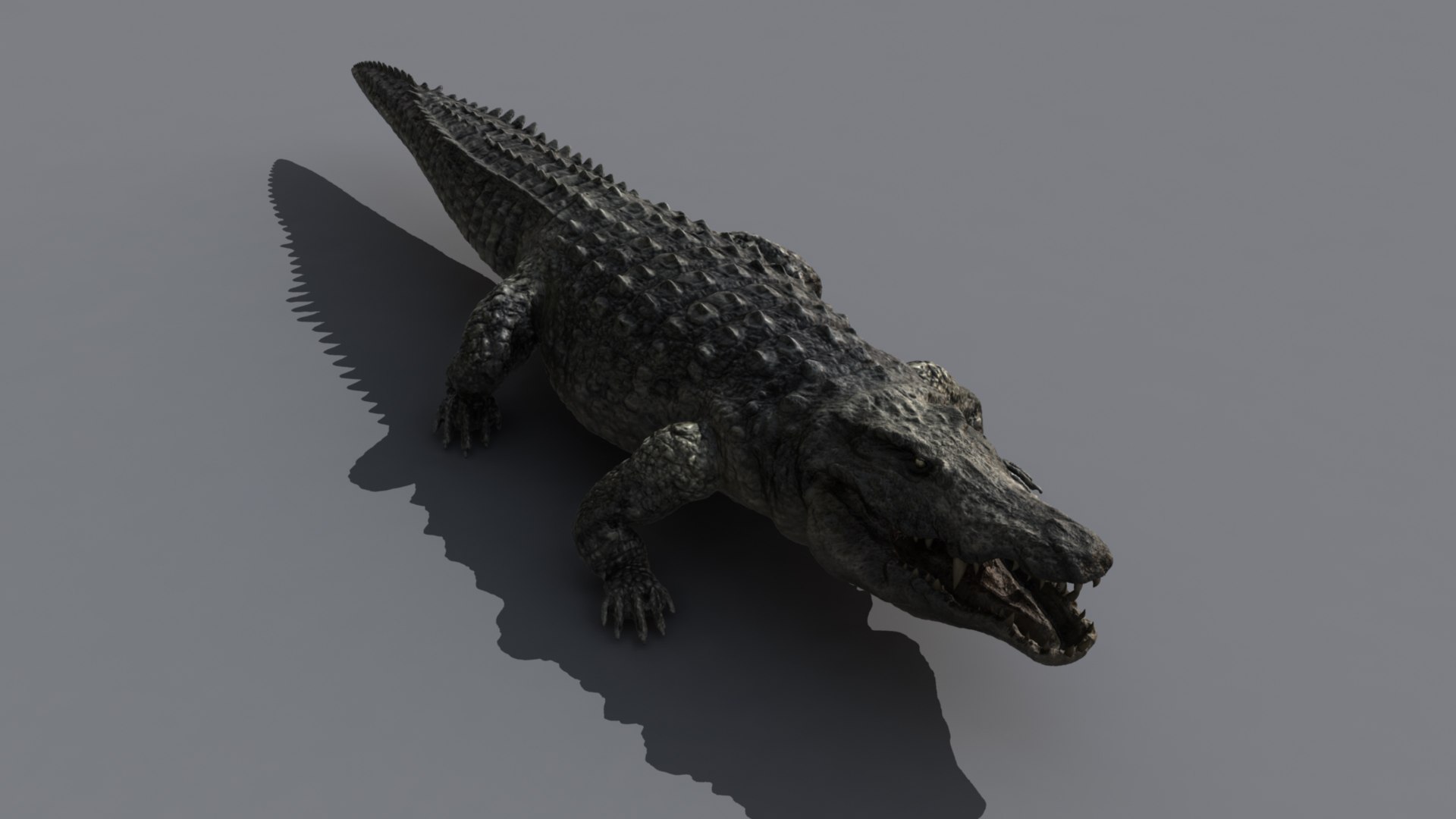 3d Realistic Crocodile Model