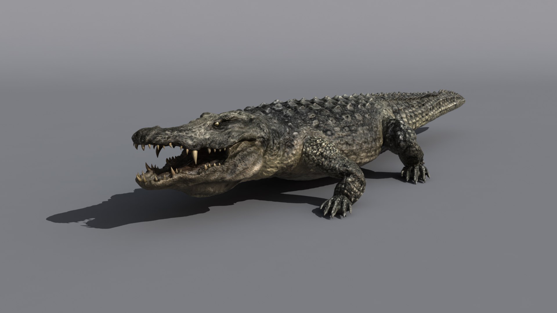 3d Realistic Crocodile Model