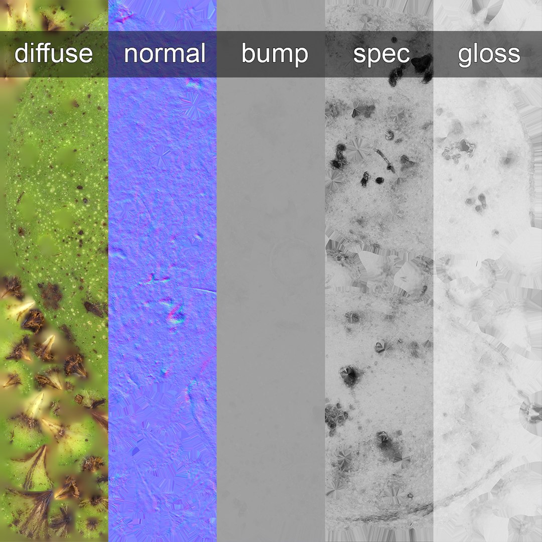 3D model Chestnut Collection - TurboSquid 2069533