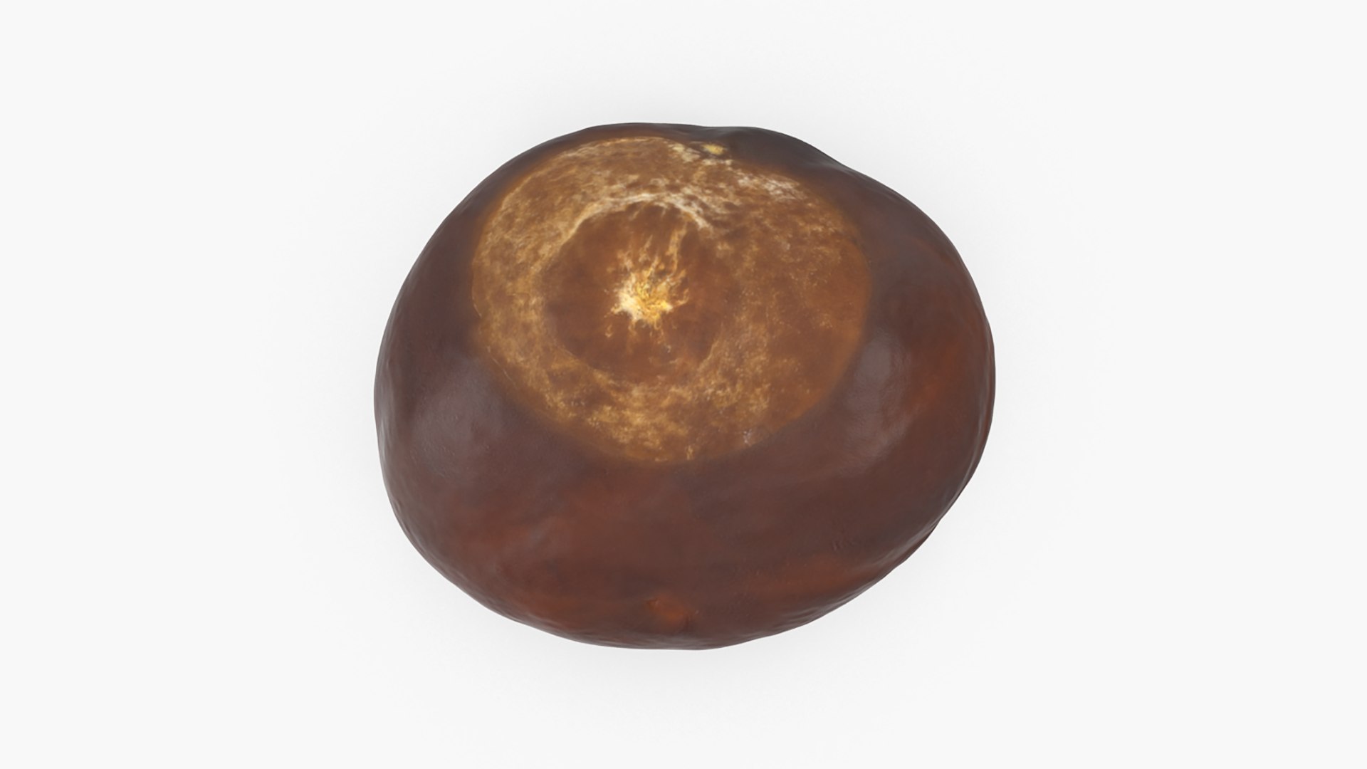 3D model Chestnut Collection - TurboSquid 2069533