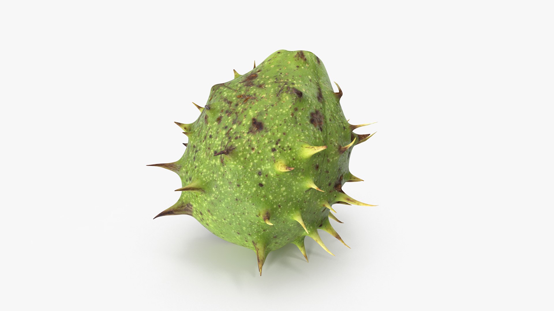 3D model Chestnut Collection - TurboSquid 2069533