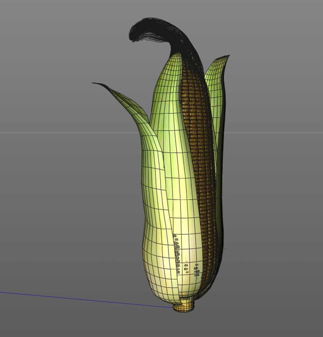 3D Corn Maize - TurboSquid 1544486