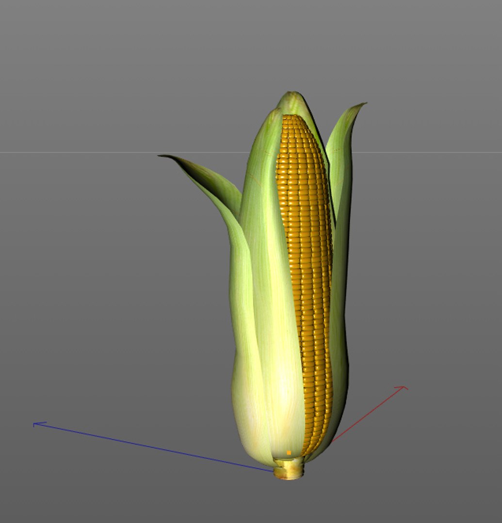 3D Corn Maize - TurboSquid 1544486