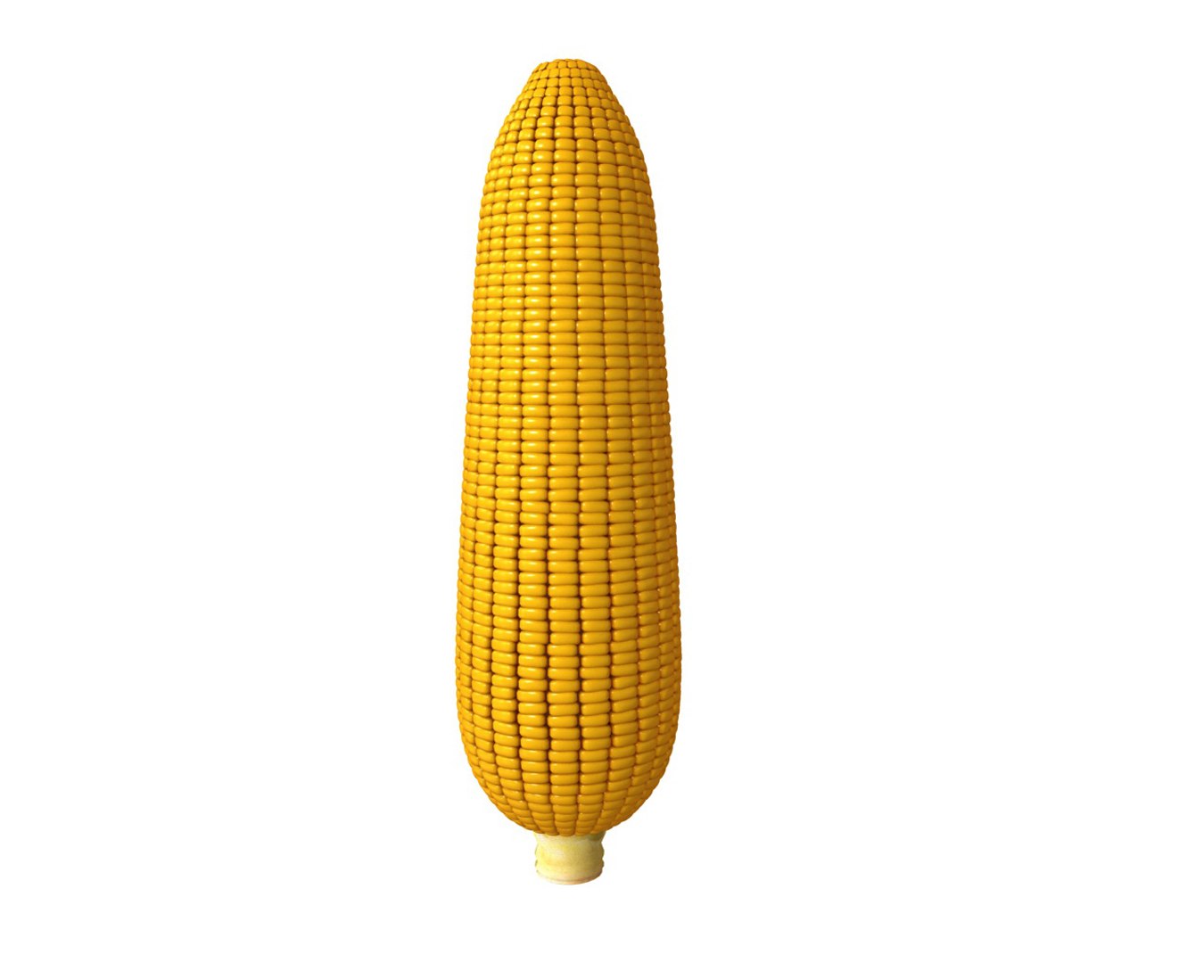 3D Corn Maize - TurboSquid 1544486