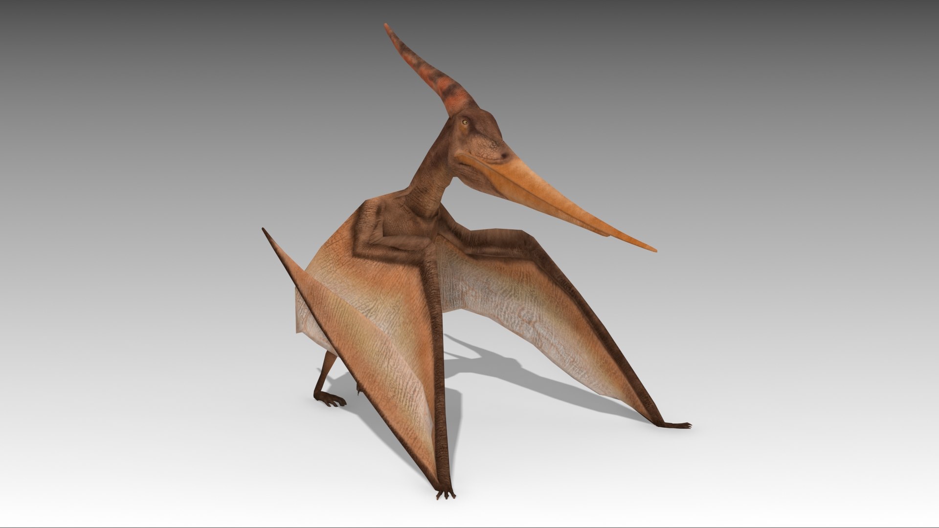 Pteranodon 3D Model - TurboSquid 1827576