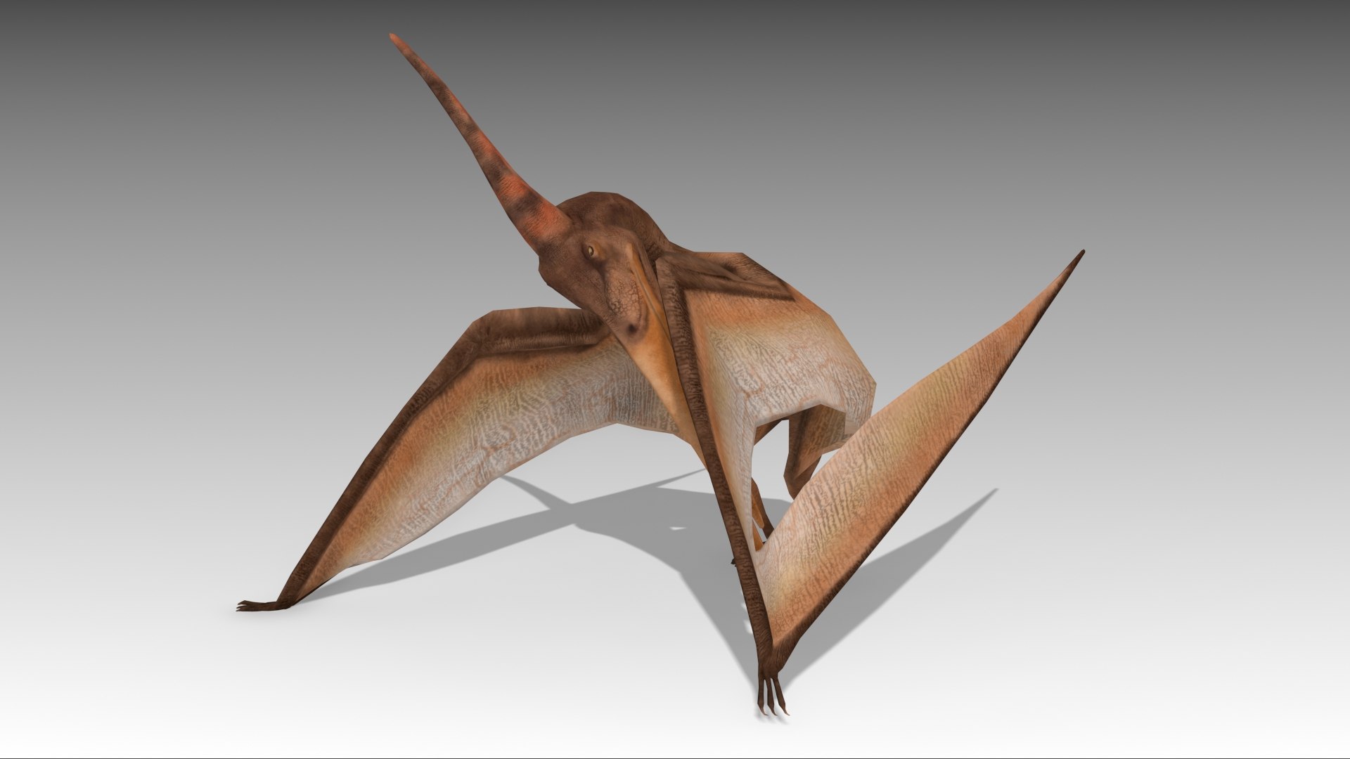 Pteranodon 3D Model - TurboSquid 1827576