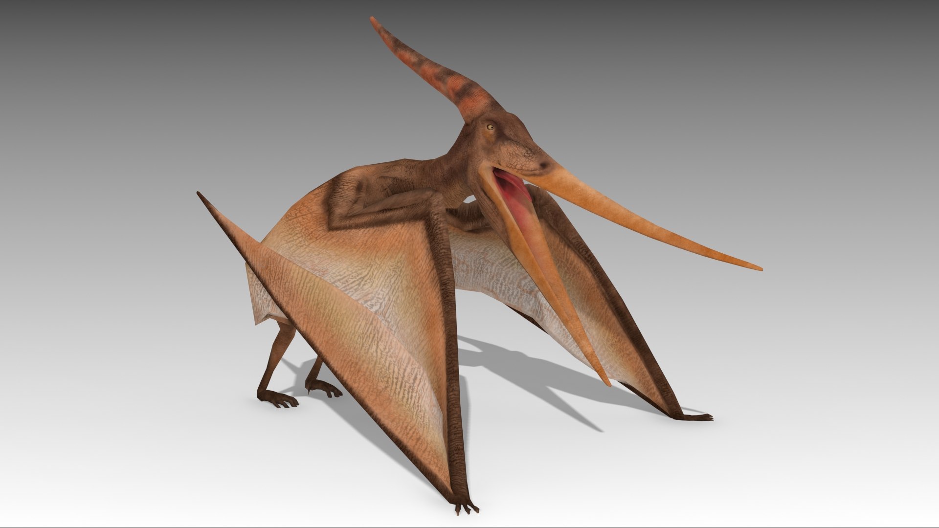 Pteranodon 3D Model - TurboSquid 1827576