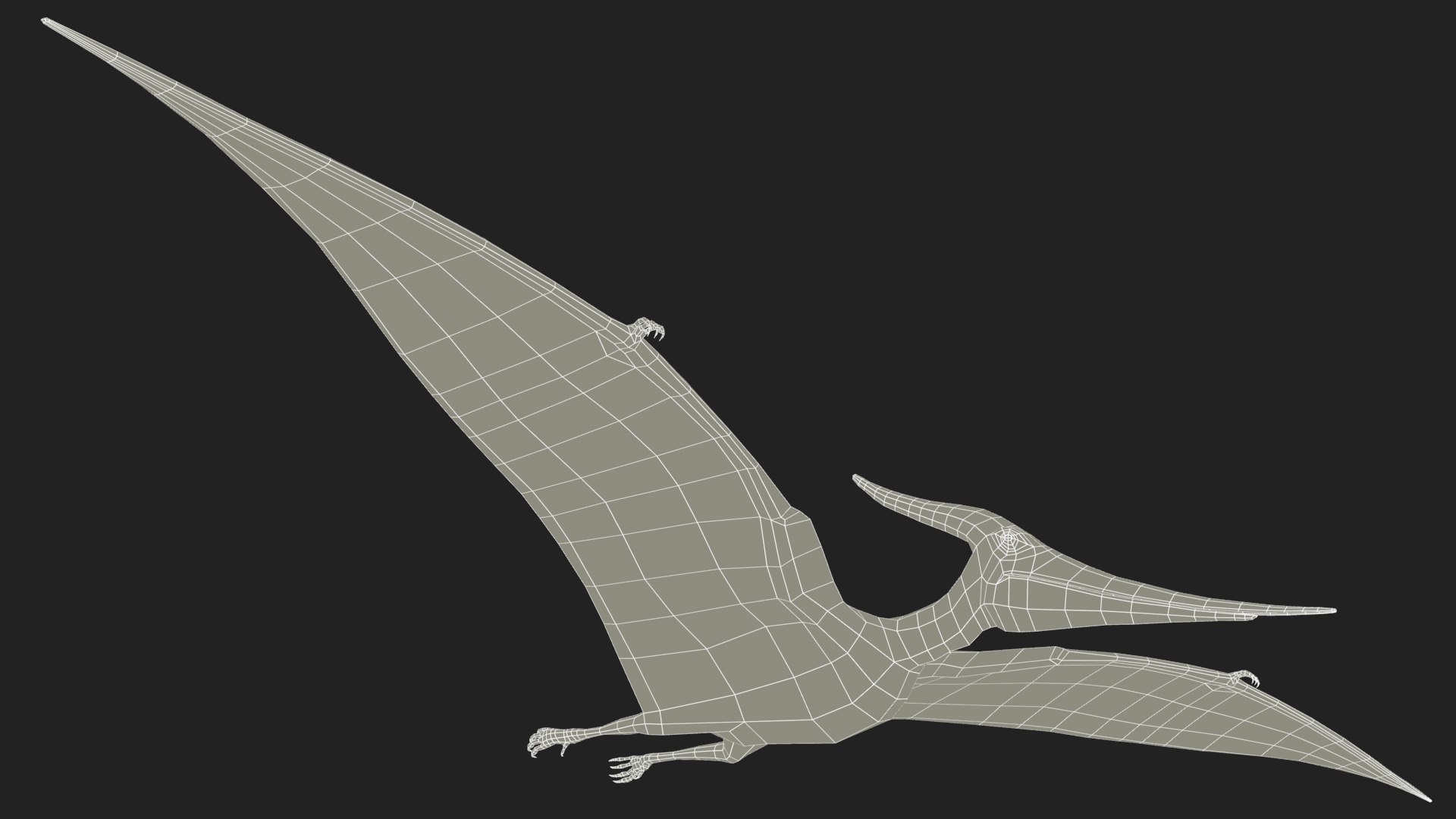 Pteranodon 3D Model - TurboSquid 1827576
