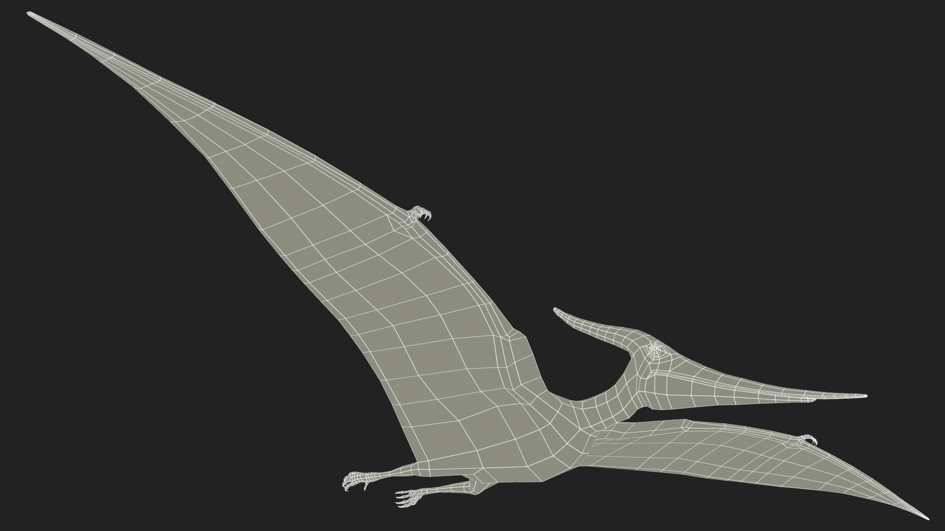 Pteranodon 3D model - TurboSquid 1827576