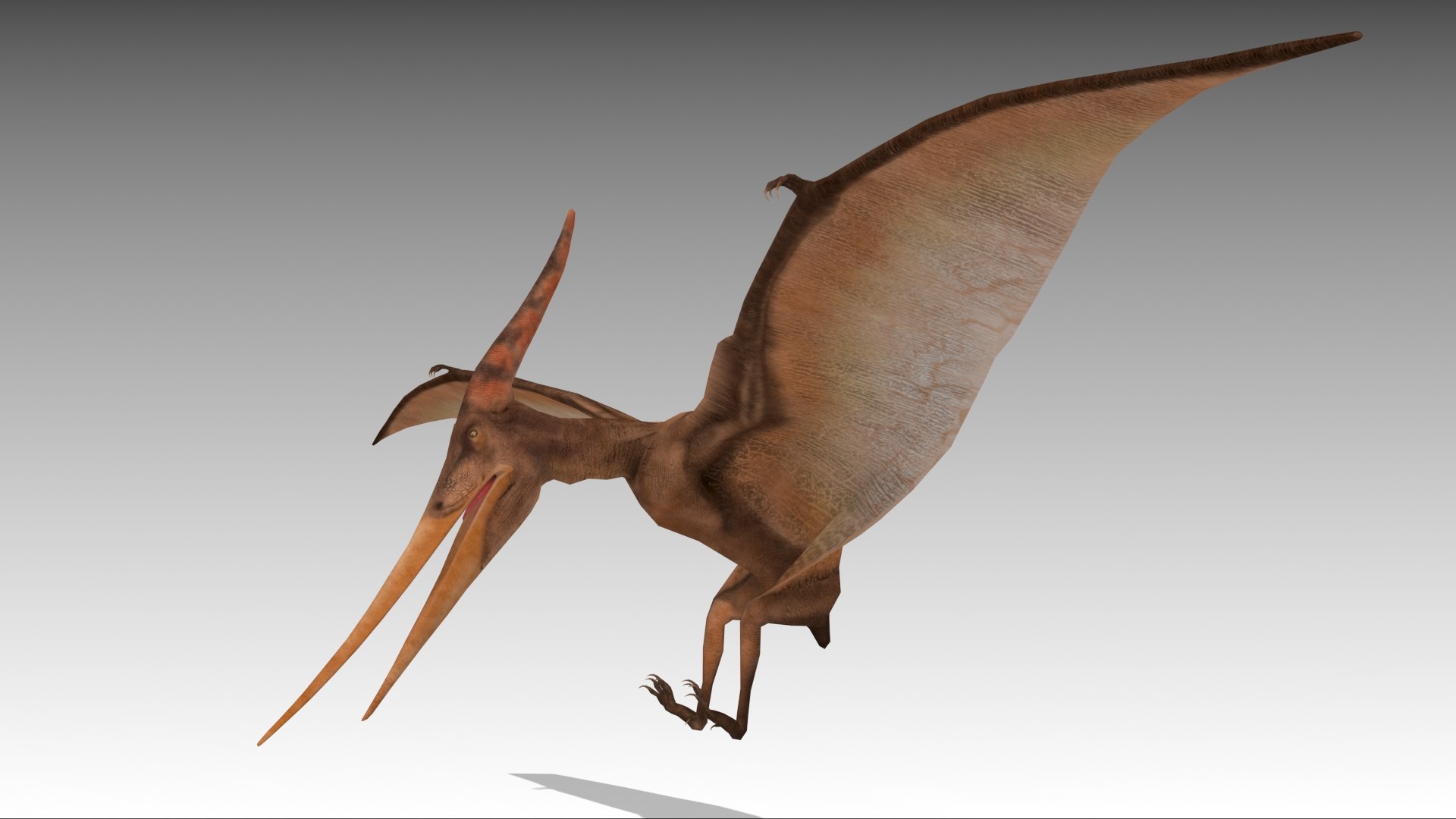 Pteranodon 3D Model - TurboSquid 1827576