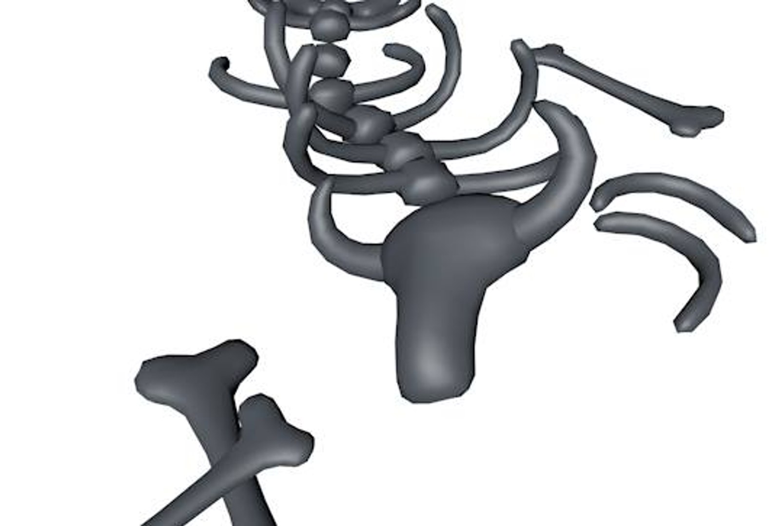 3d Cow Skeleton Model