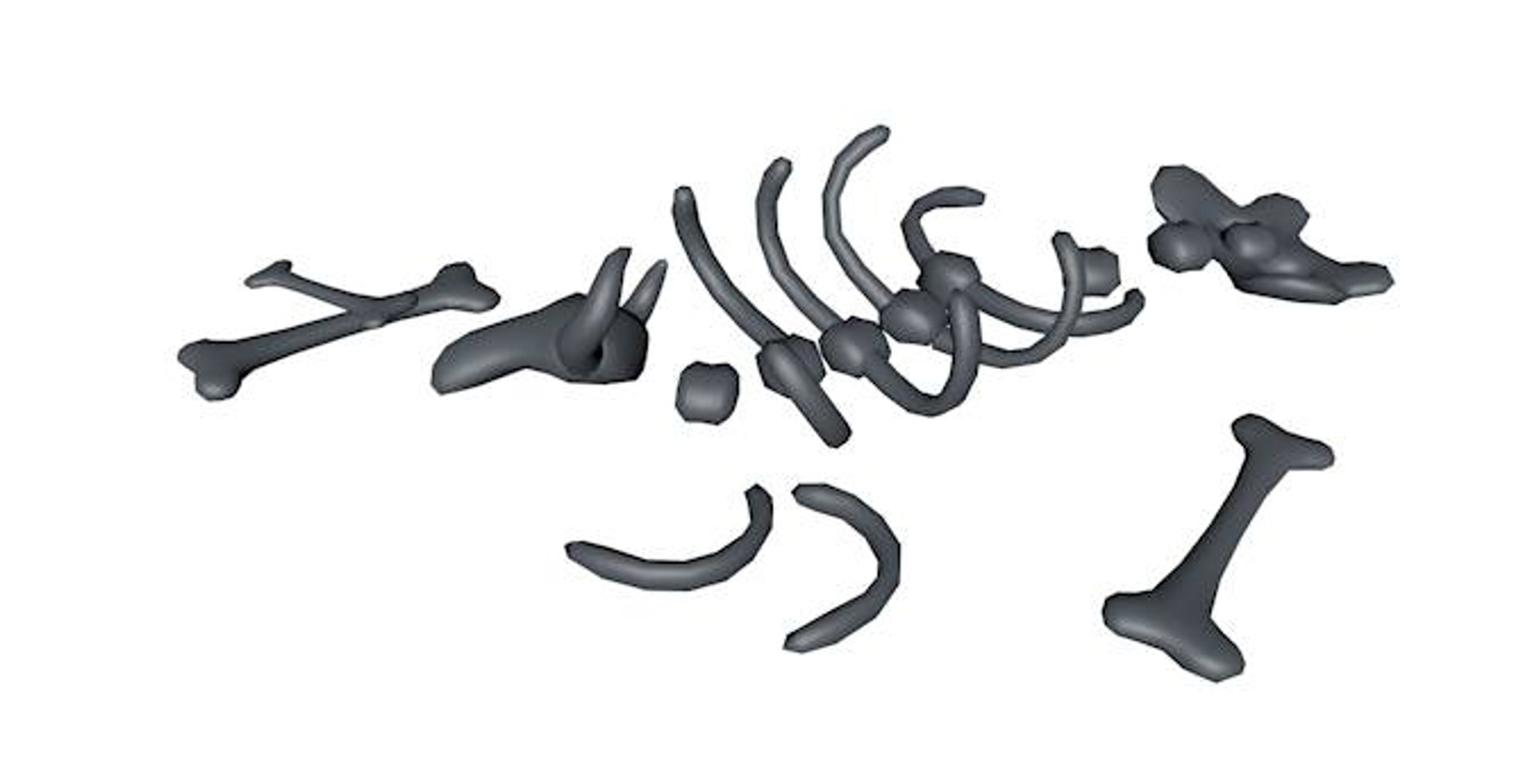 3d Cow Skeleton Model