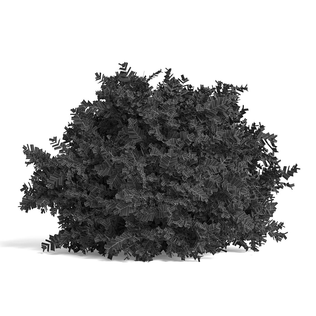 3D model Common Box Shrub II - TurboSquid 1976666