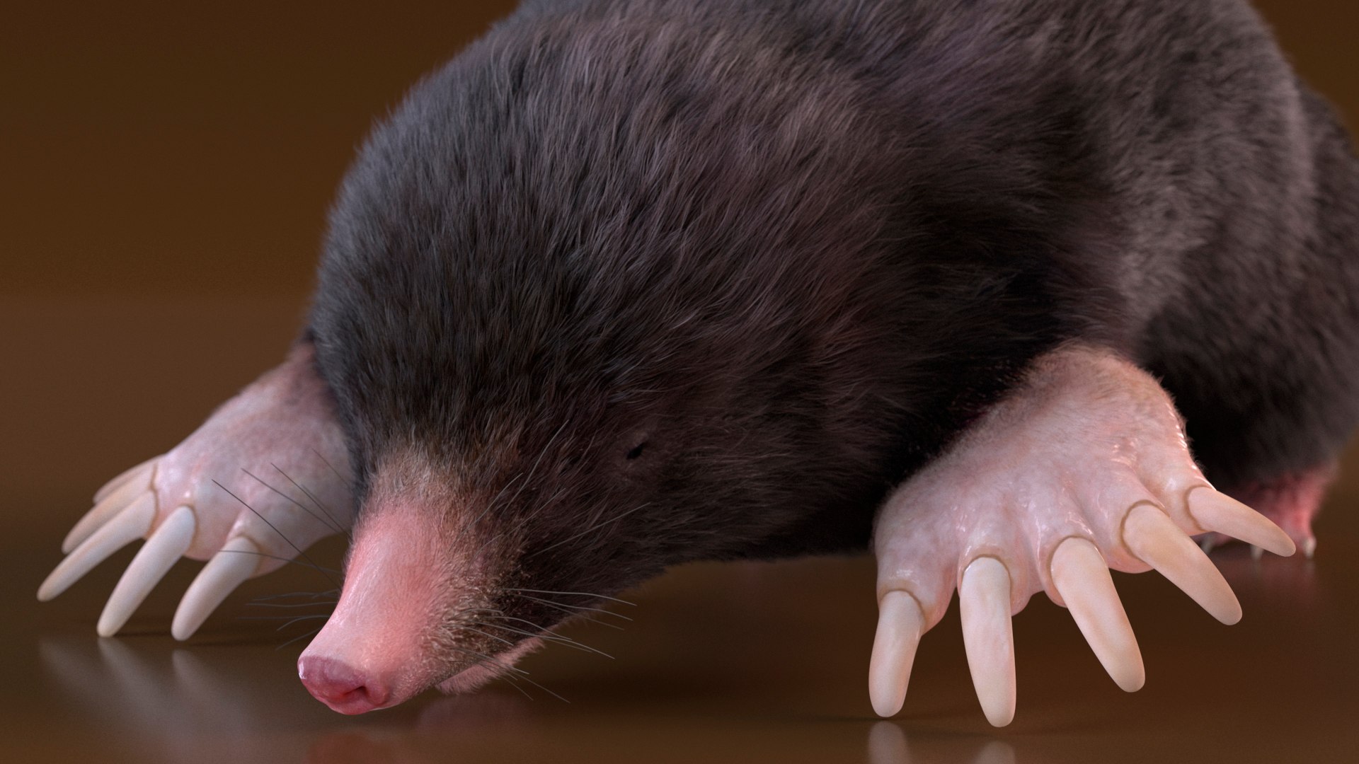 Mole Animal Fur Rigged 3D Model - TurboSquid 2220831