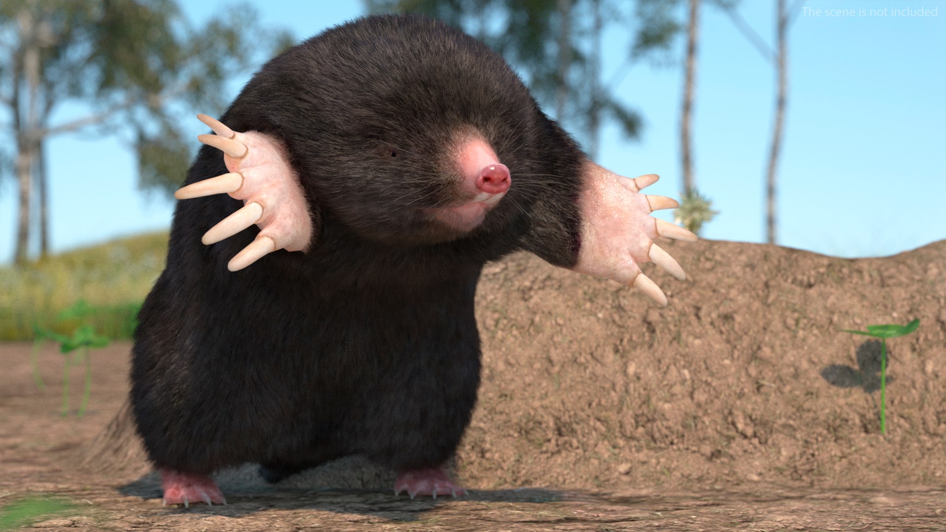 Mole Animal Fur Rigged 3D Model - TurboSquid 2220831