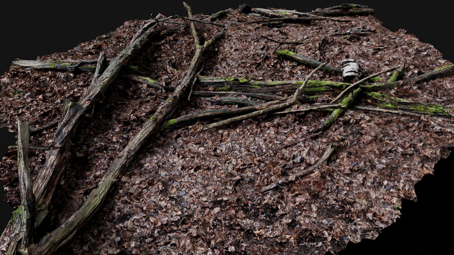 Forest Ground Trees Branches Debris Pt1 Photogrammetry 3D Model ...