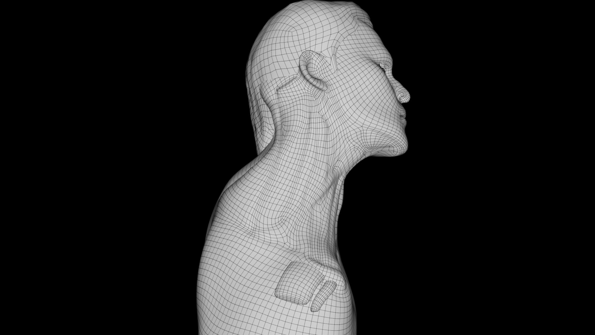 Human Anatomy-Muscular System-Hyoid Muscles Neck-Right Lateral View 3D ...