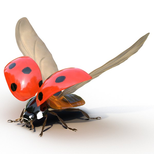 flying ladybug fur rigged 3d max