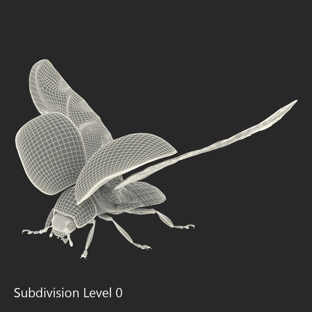 Flying Ladybug Fur Rigged 3d Max