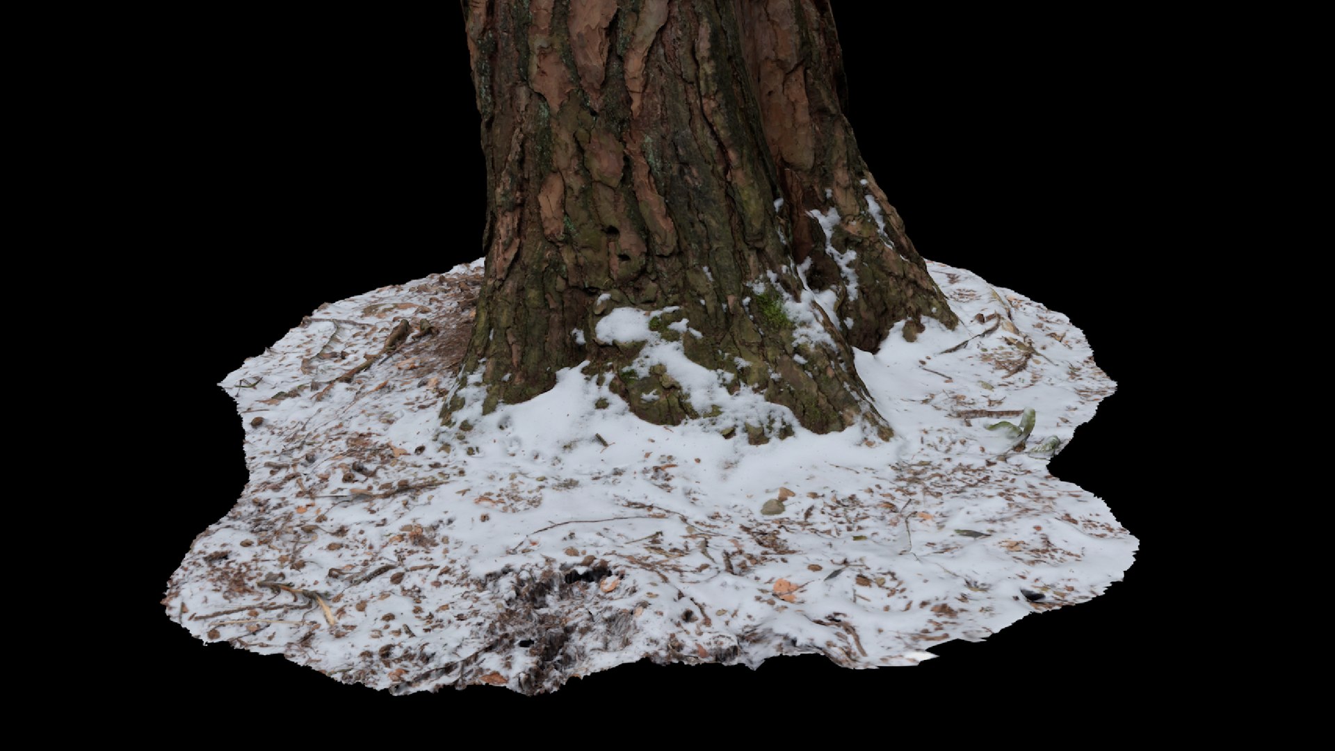 3D Swiss Winter Tree 002 - TurboSquid 2177094